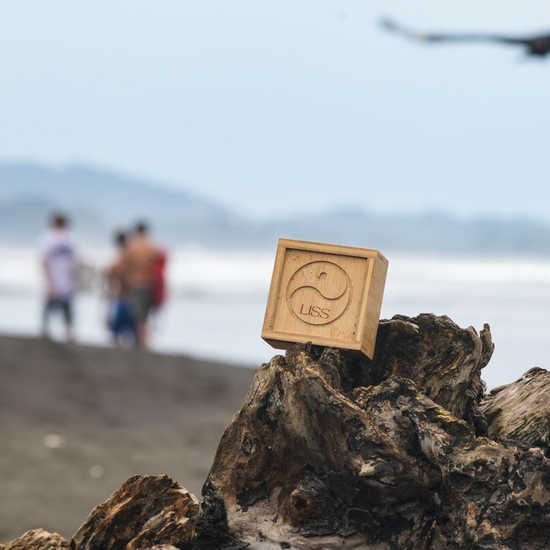 Surf Wax Box | Living in Sunshine – LISS